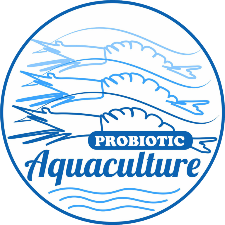 Panduan Lengkap Sistem Bioflok untuk Budidaya Udang Vaname